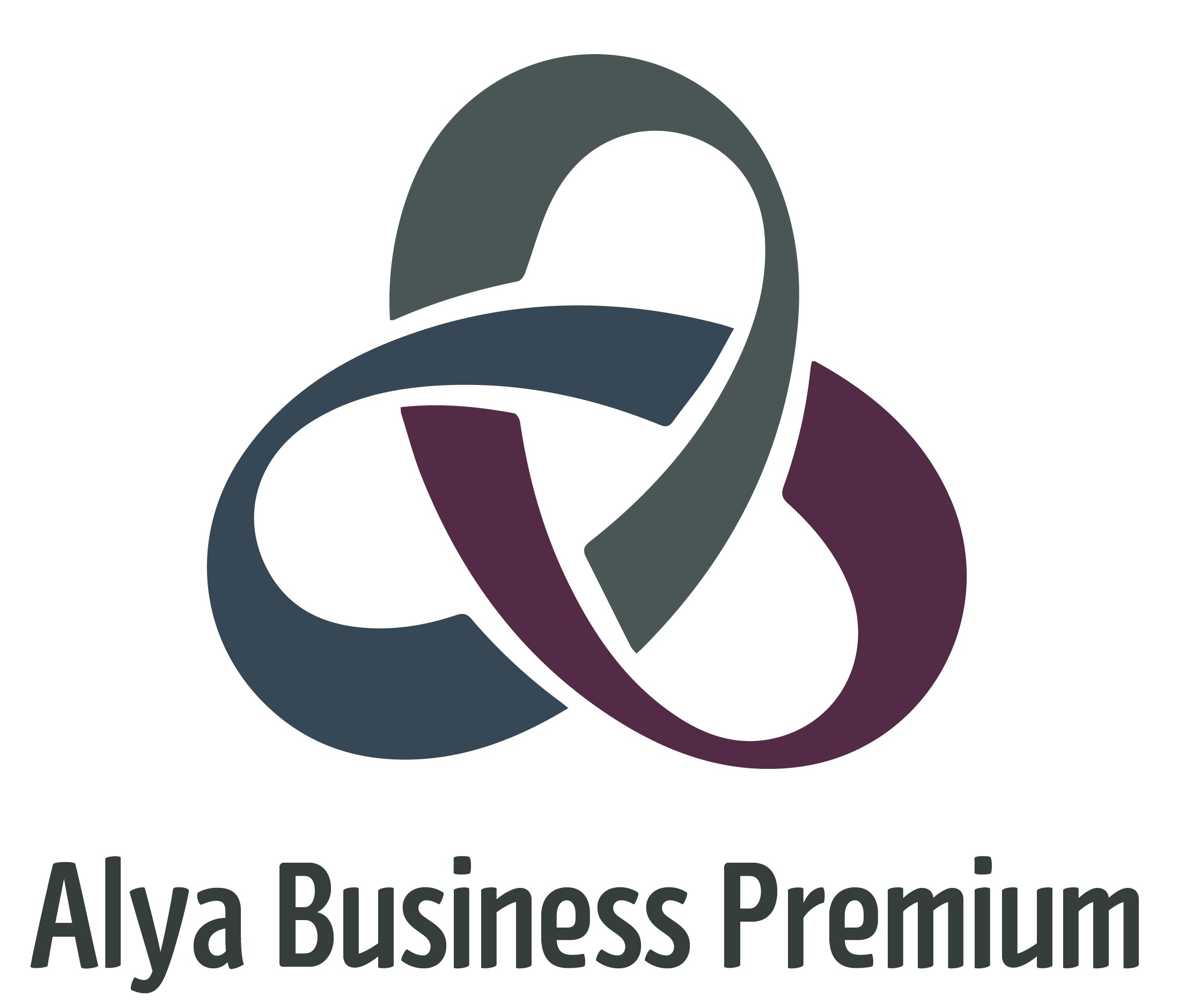 Alya Business premium - Cyrus Herez Israel